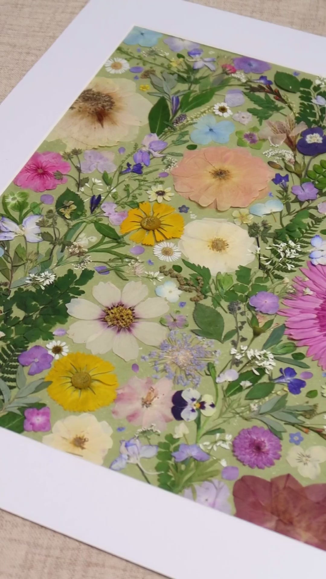 SUNNY SUMMER – Dried Petals Gallery